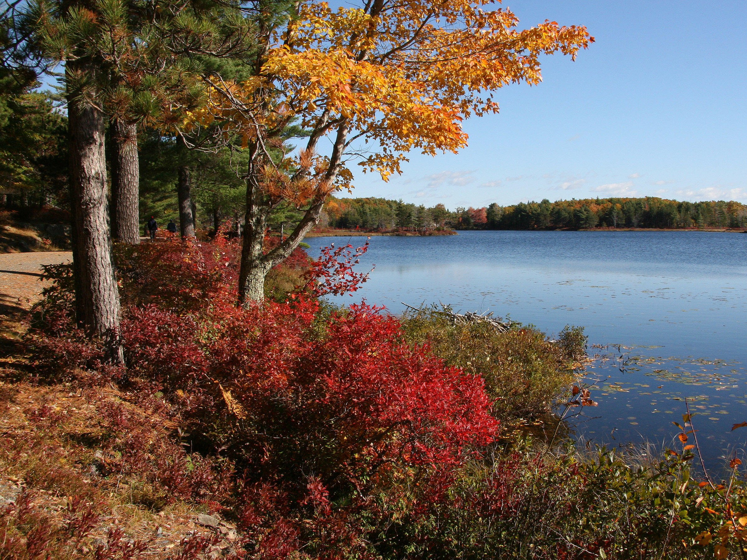 Photo Album: Autumn in our National Parks ready for your Windows ...